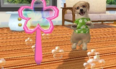 Petz Beach Nintendo 3DS NextGame